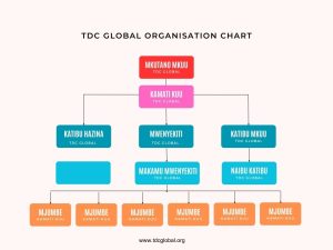 Organisation Chart – TDC GLOBAL