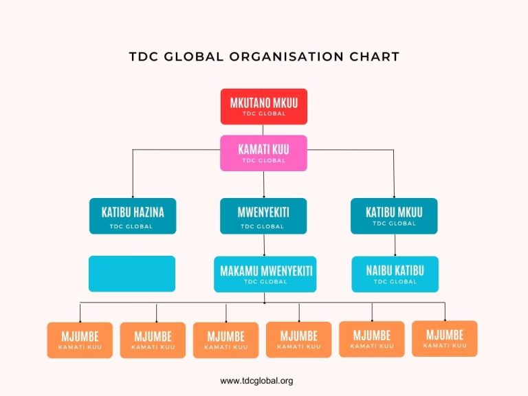 Organisation Chart – TDC GLOBAL